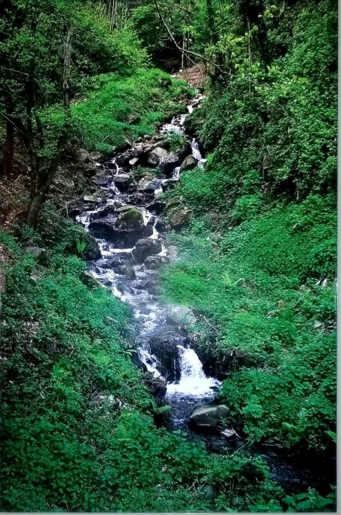 Cascade Stream – The Artist’s Palette